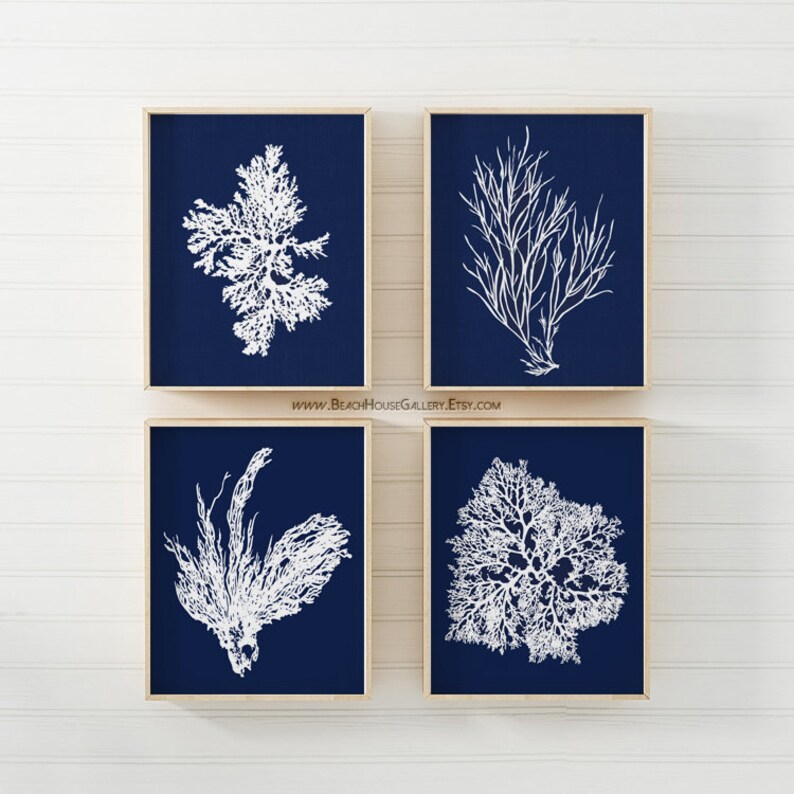 Coral Prints White on Blue Sea Coral Print Set of 4 Prints - Etsy