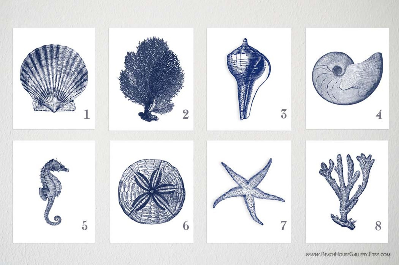 Seashell Prints Custom Colors Set of 8 Beach Bathroom Art - Etsy