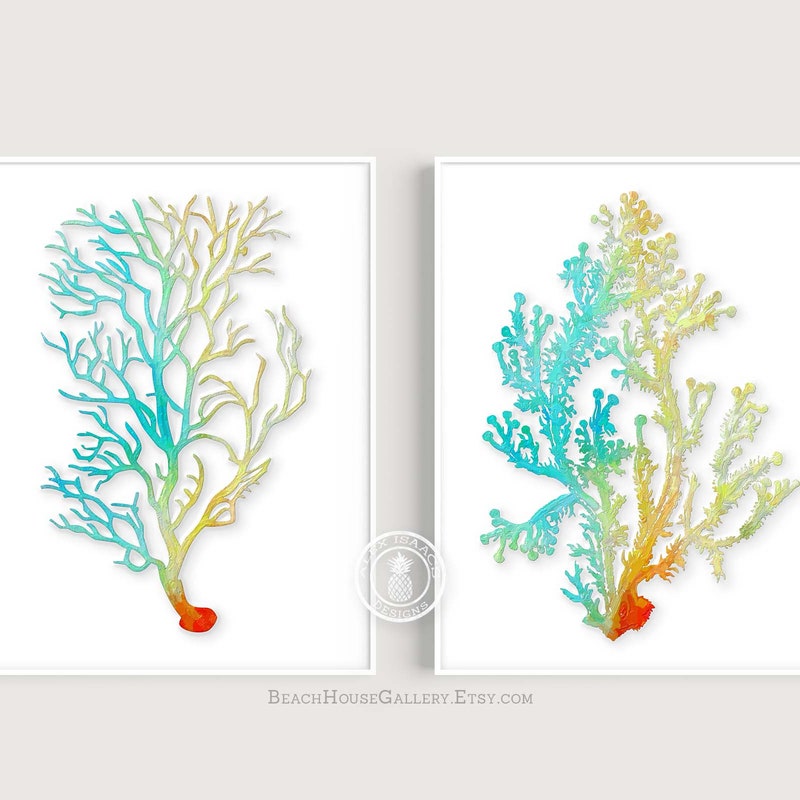 Coral Print - Etsy