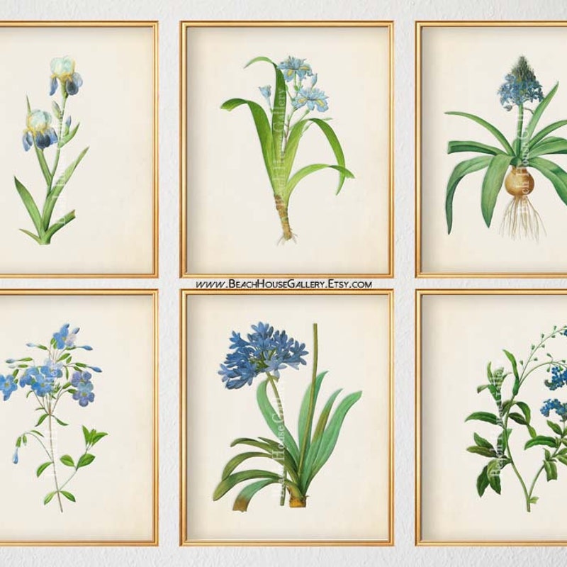Blue Botanical Print - Etsy