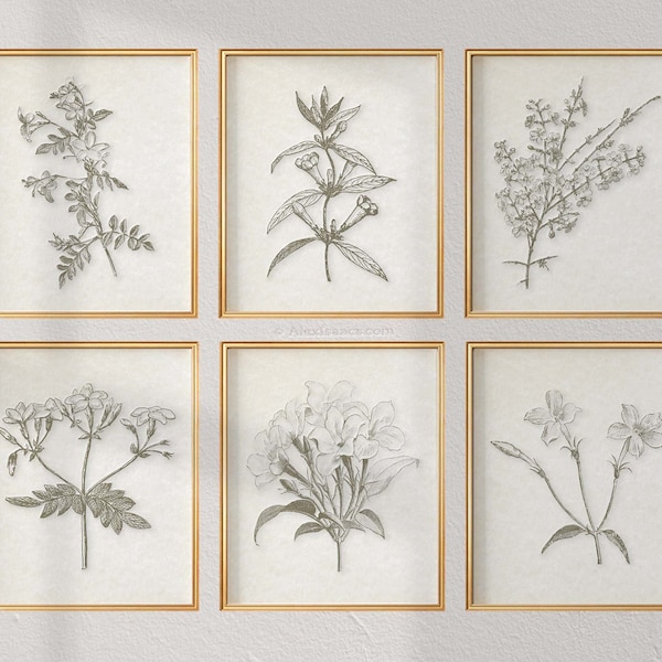 Modern Botanical Art - Etsy