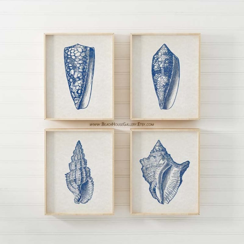 Seashell Print - Etsy