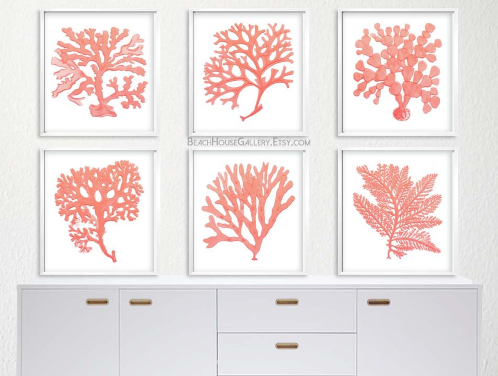 Coral Print Coral Prints Set of 6 Coral Wall Art Set of Six - Etsy