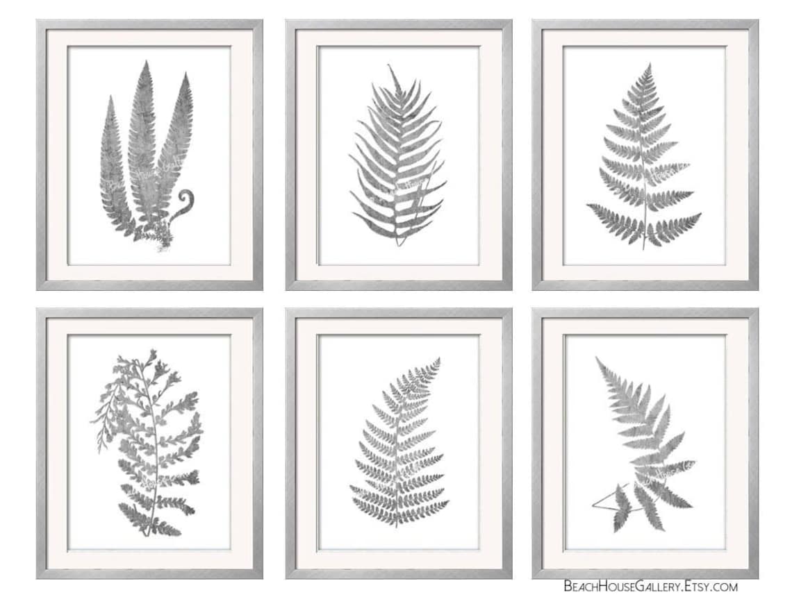 Gray White Wall Art Fern Botanical Prints Grey Wall Art | Etsy