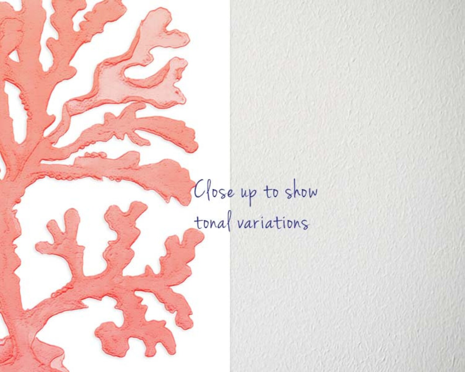 Coral Print Coral Prints Set of 6 Coral Wall Art Set of Six - Etsy