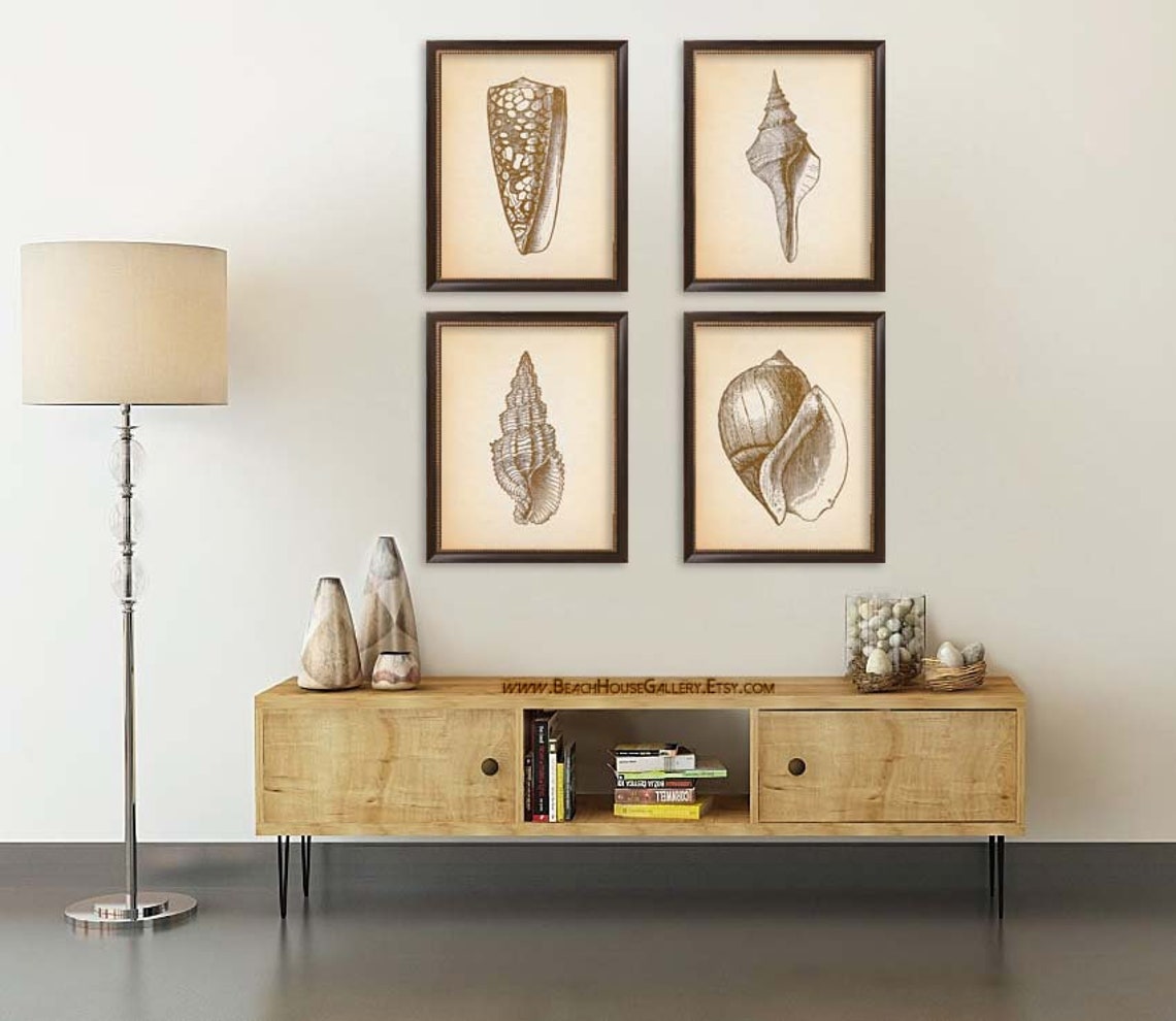 Sepia Seashell Prints Antique Sepia Art Print Brown Wall - Etsy