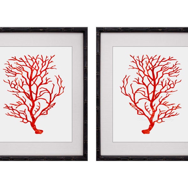 Red Coral Print - Etsy