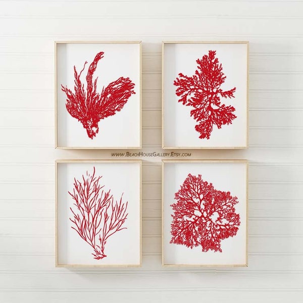 Red Coral Print - Etsy