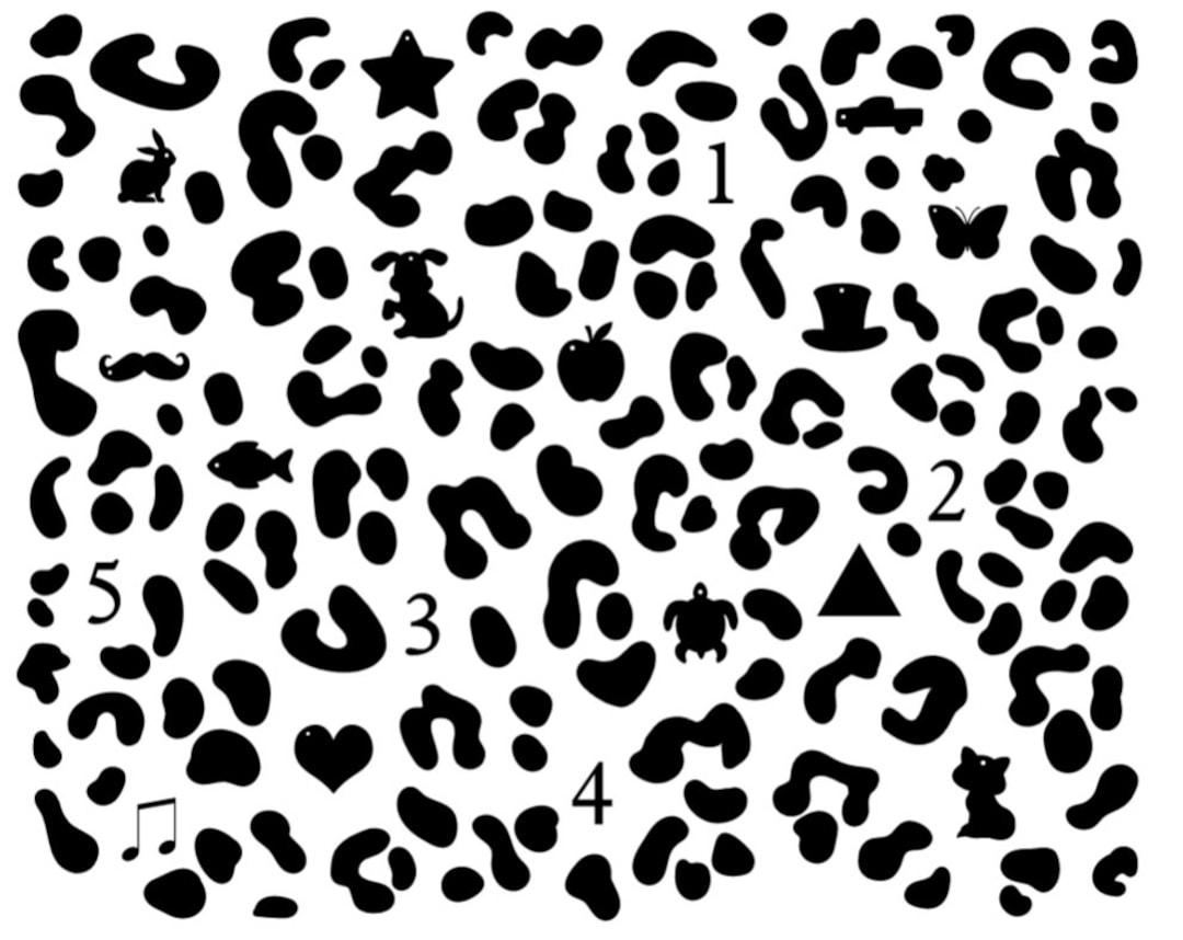 Kids Discovery Leopard Template Svg - Etsy