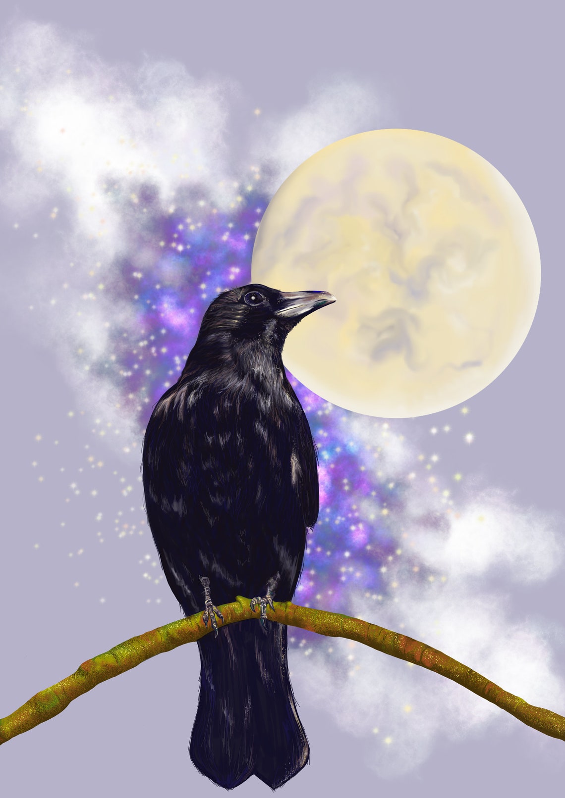 Raven Crow Black Bird Illustration Full Moon Halloween Bird | Etsy