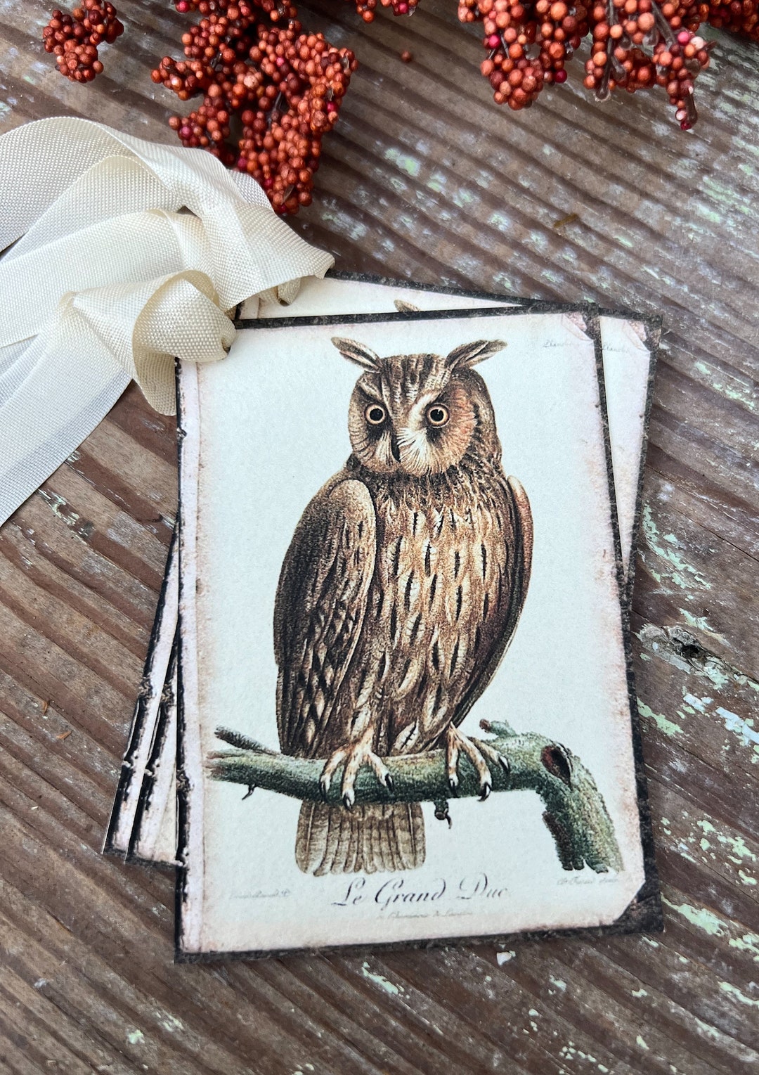 Halloween FALL BROWN OWL Gift Tags Vintage Farmhouse Decor Grungy Party ...