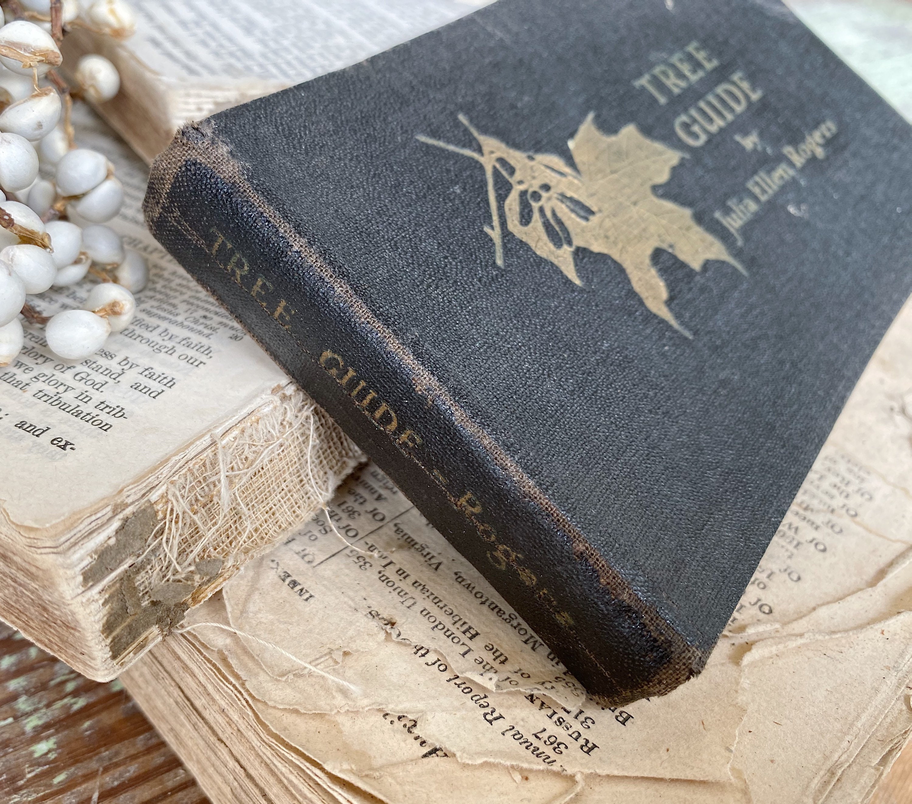 Antique TREE GUIDE 1920 Book Farmhouse Decor Julia Ellen Rogers Pocket Book