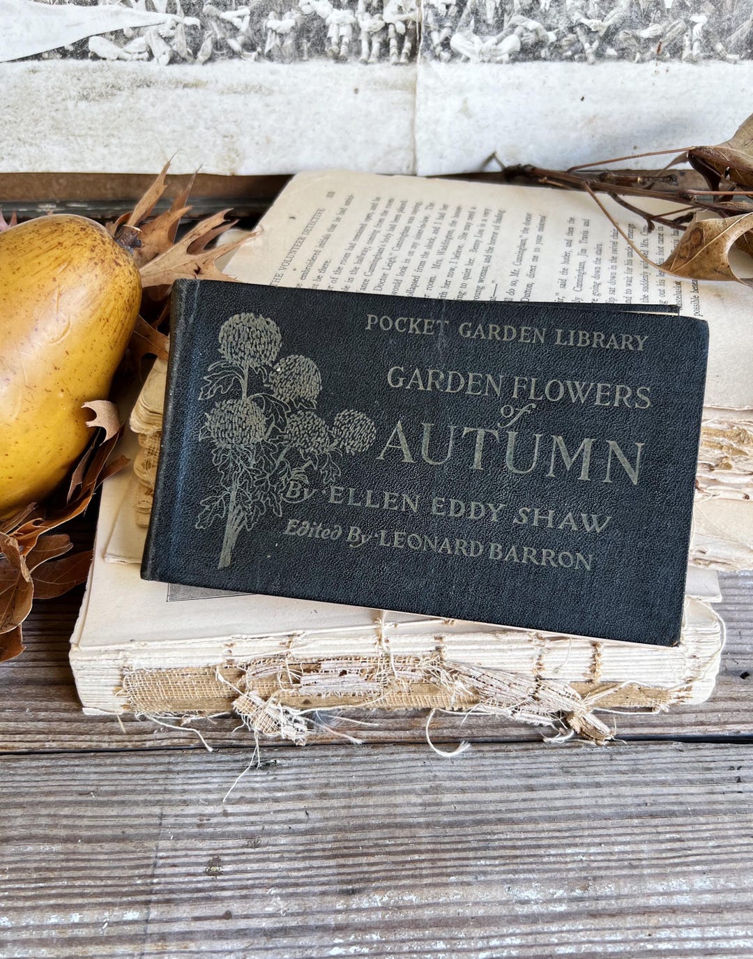 Antique GARDEN FLOWERS of AUTUMN Guide Book 1917 Farmhouse Decor Ellen ...