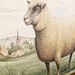Vintage SHEEP Wood Sign Primitive Farmhouse Decor Illustration - Etsy
