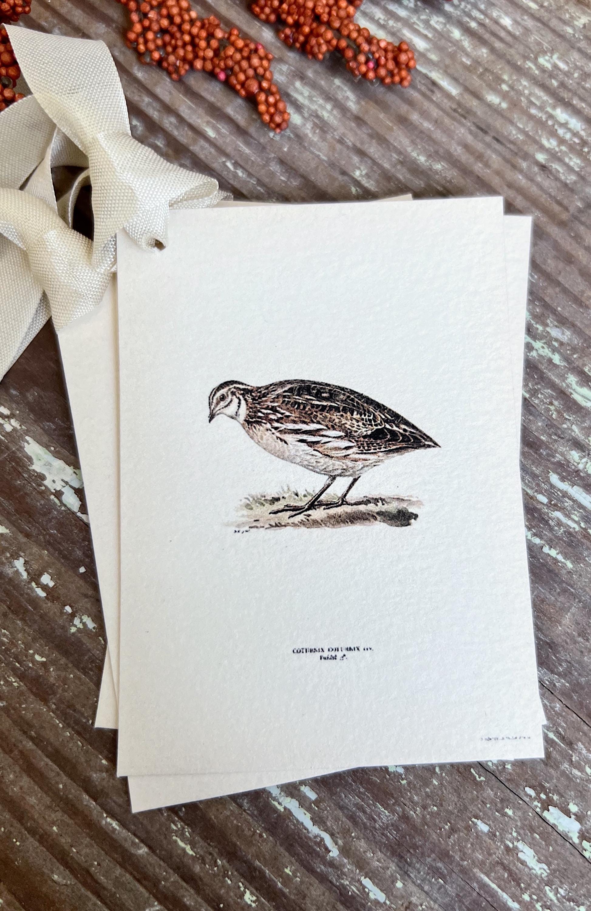 QUAIL Gift Tags Vintage Farmhouse Decor Grungy Party Favor Card Tag ...