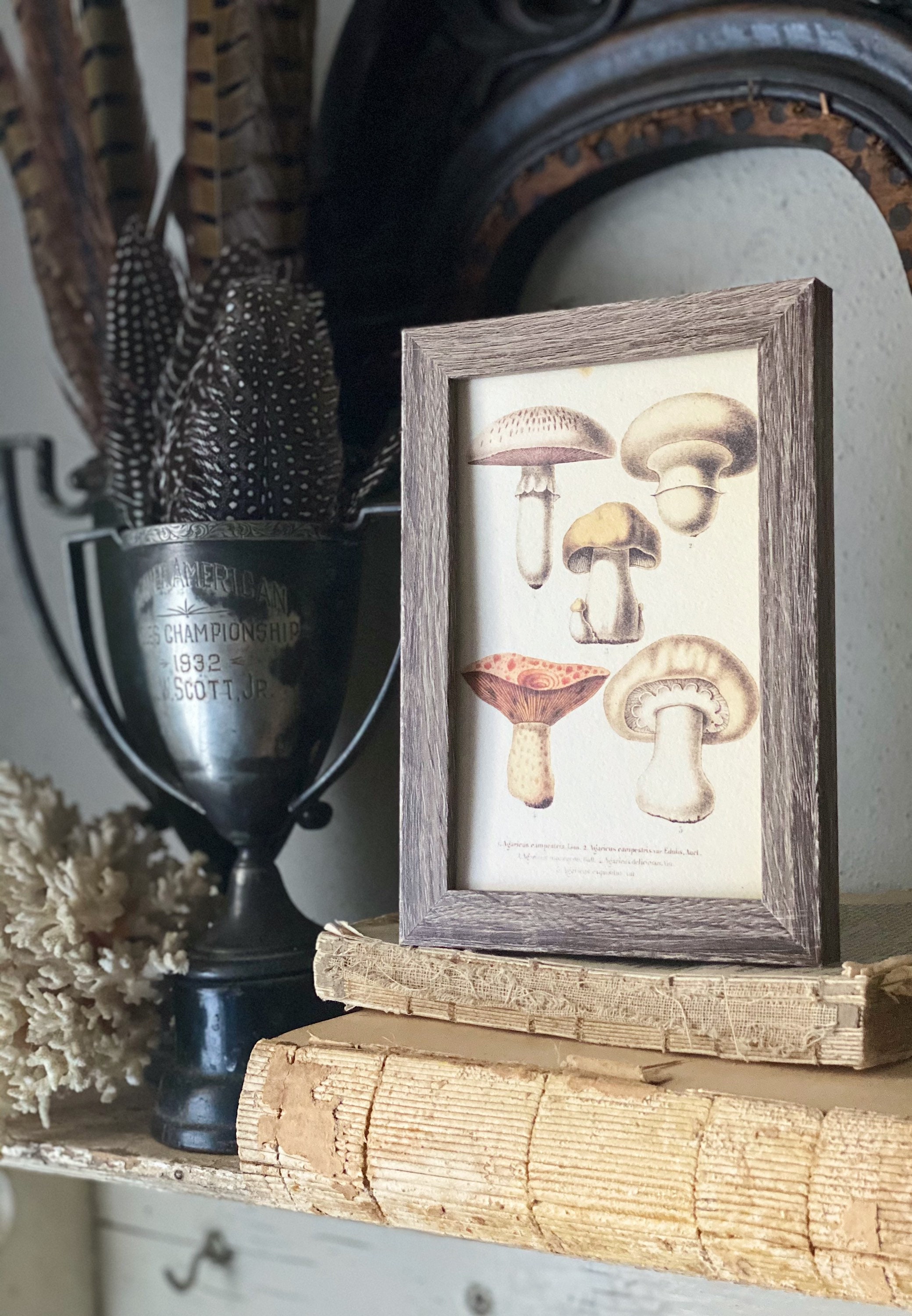 Vintage Botanical MUSHROOM Wall Art Sign Wood Frame Sign Farmhouse ...