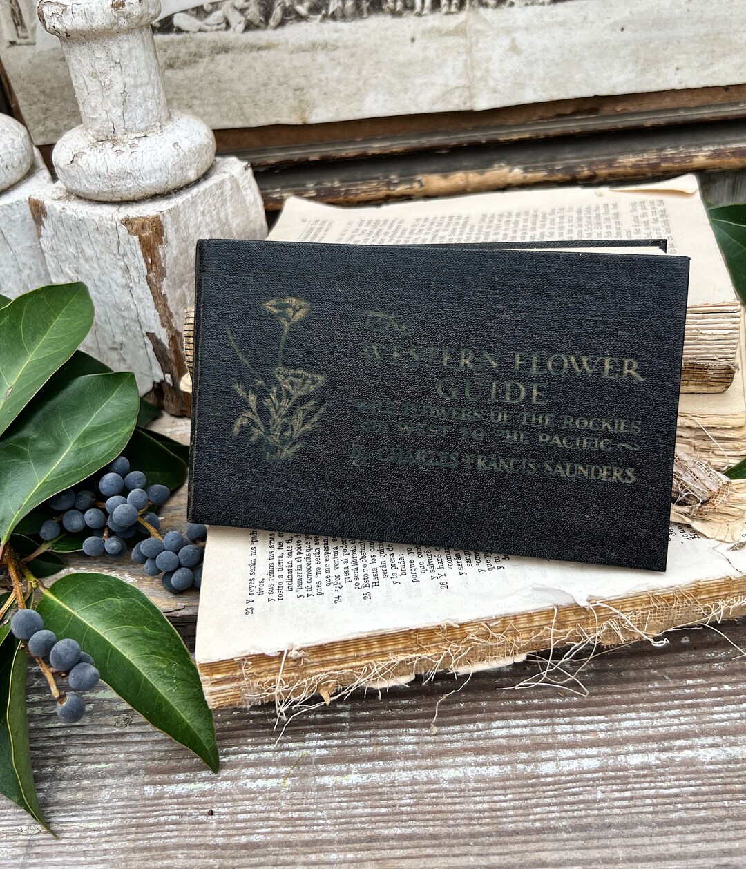 Antique WESTERN FLOWER GUIDE Book by Charles Francis Saunders 1917 ...