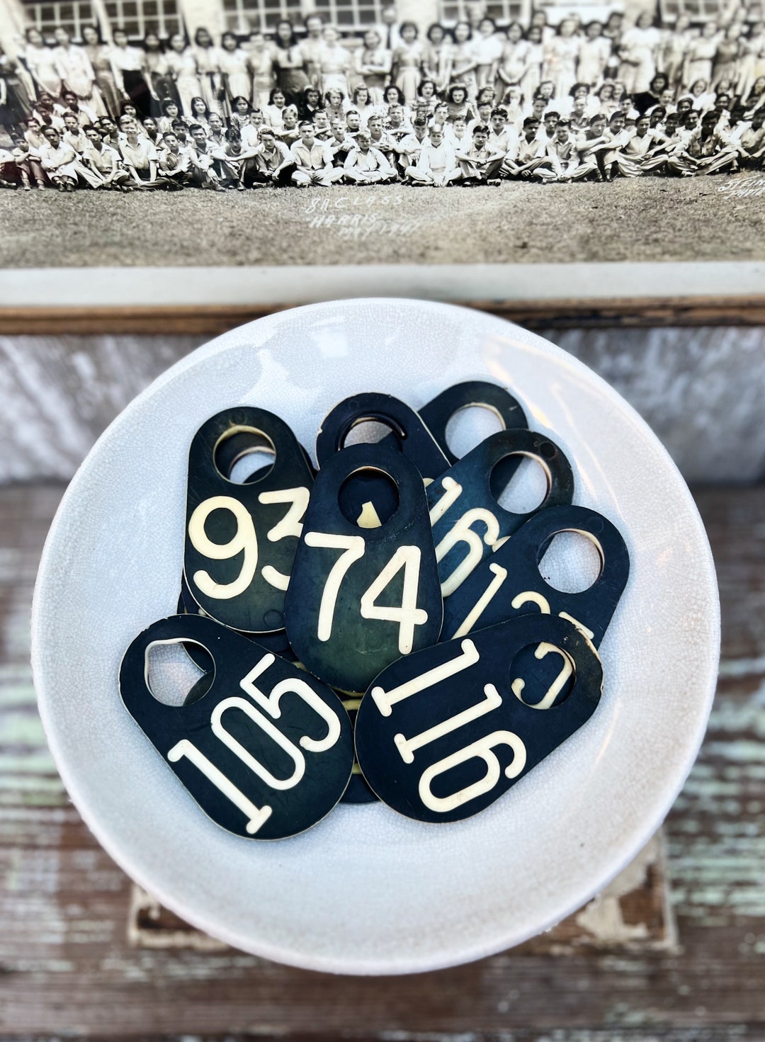 Vintage Cow Tag BLACK Number Farmhouse Decor Plastic Livestock Ear Neck ...