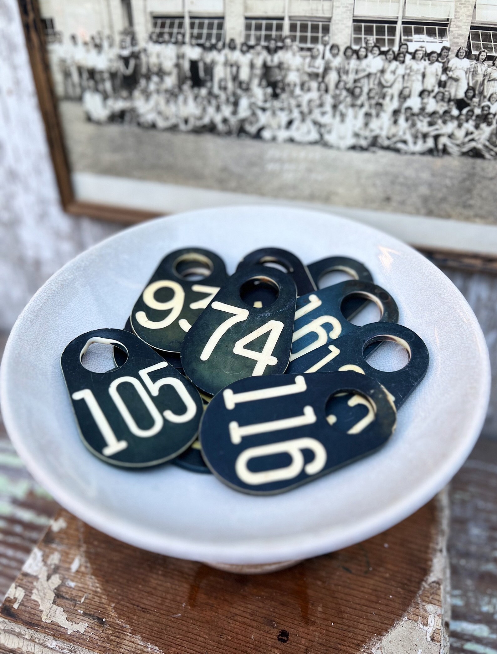 Vintage Cow Tag BLACK Number Farmhouse Decor Plastic Livestock Ear Neck ...