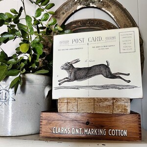 Vintage Rabbit Wood Sign French Le Lapin Book Page Wall Art Print ...