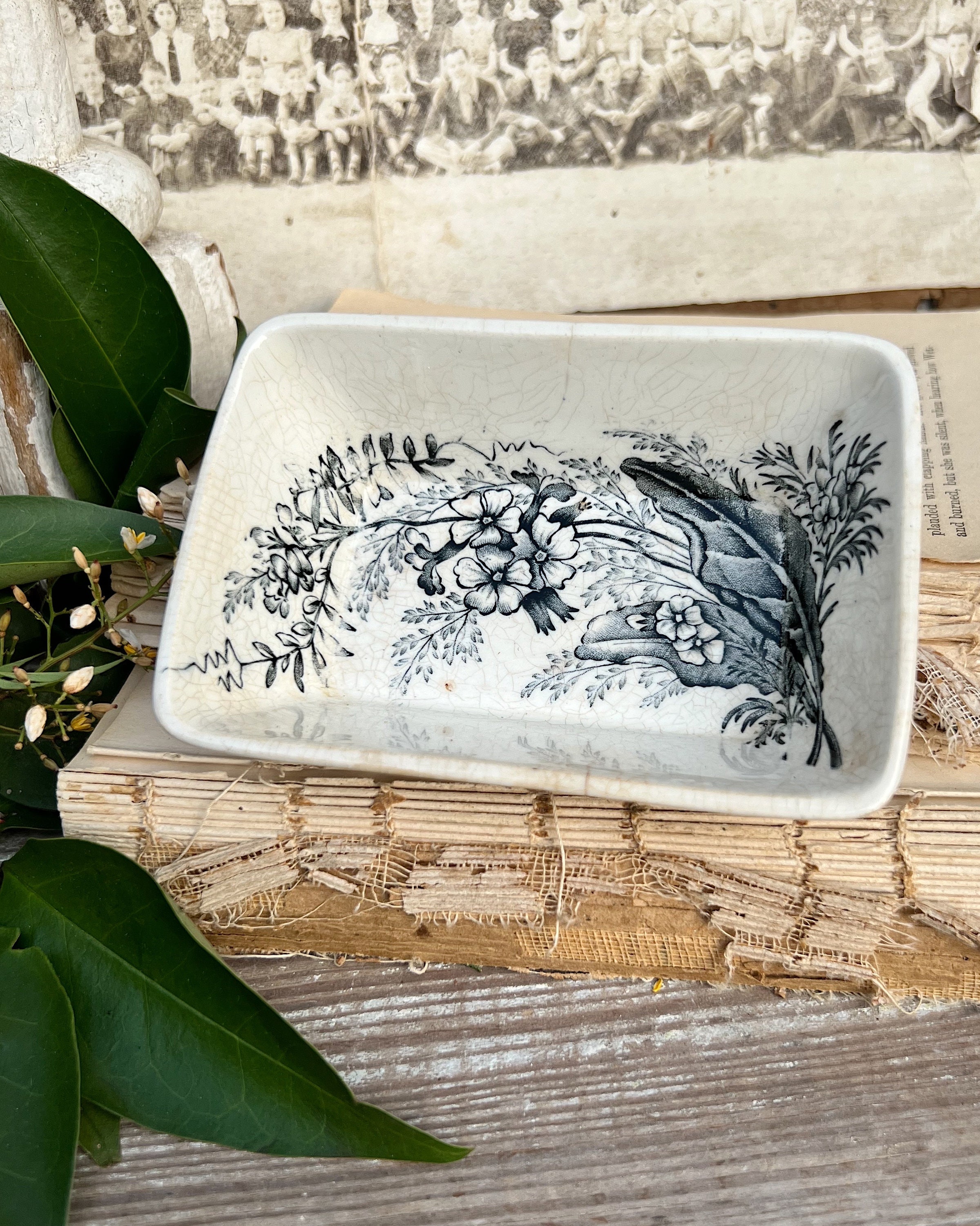 Antique White Ironstone Black Transferware Rectangle Soap Dish Plate ...