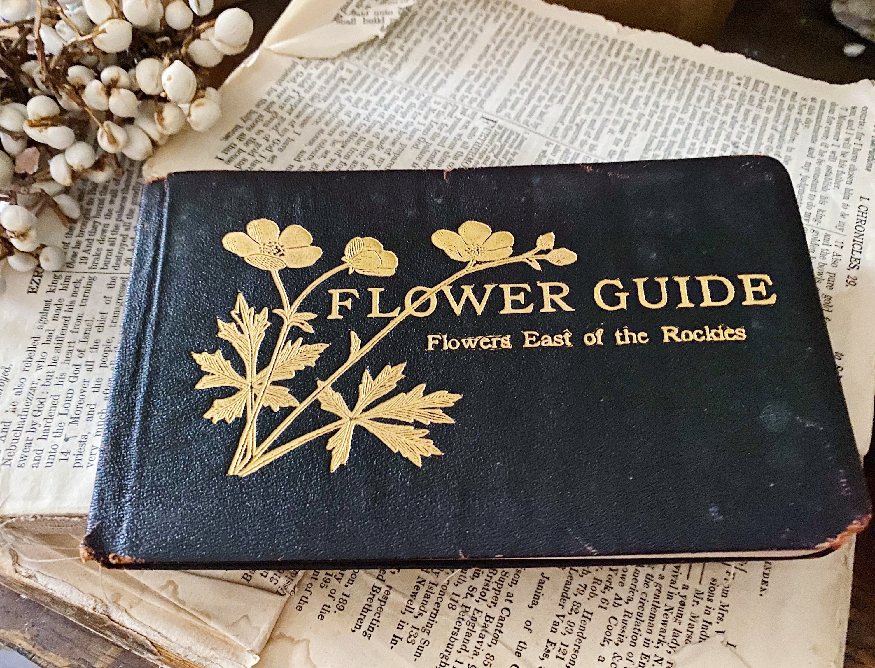 Antique FLOWER GUIDE Book By Chester Reed 1913 Farmhouse Decor Pocket Book