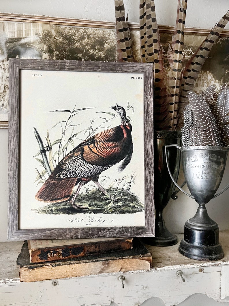 WILD TURKEY MALE Vintage Book Page Sign Wood Frame Primitive Fall Decor ...
