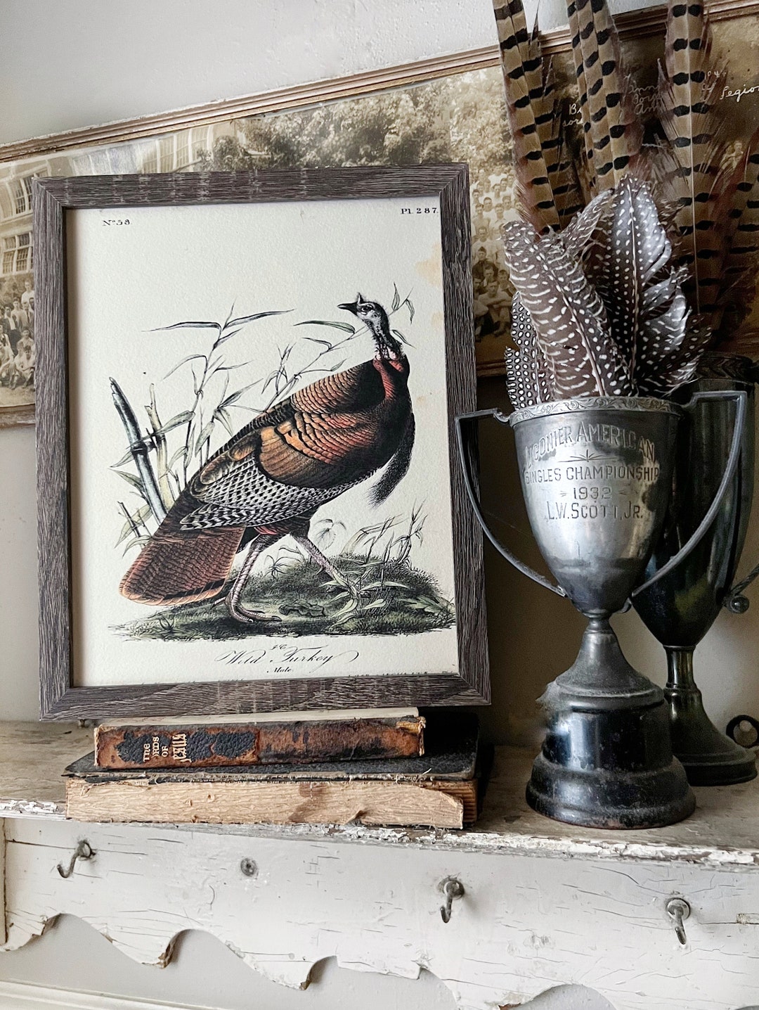 WILD TURKEY MALE Vintage Book Page Sign Wood Frame Primitive Fall Decor ...
