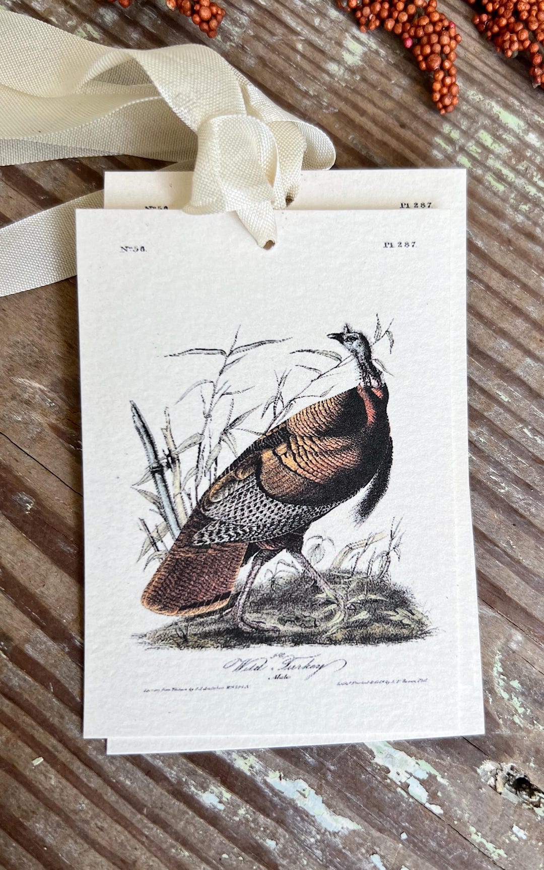 TURKEY Gift Tags Vintage Farmhouse Decor Grungy Party Favor Card Tag ...