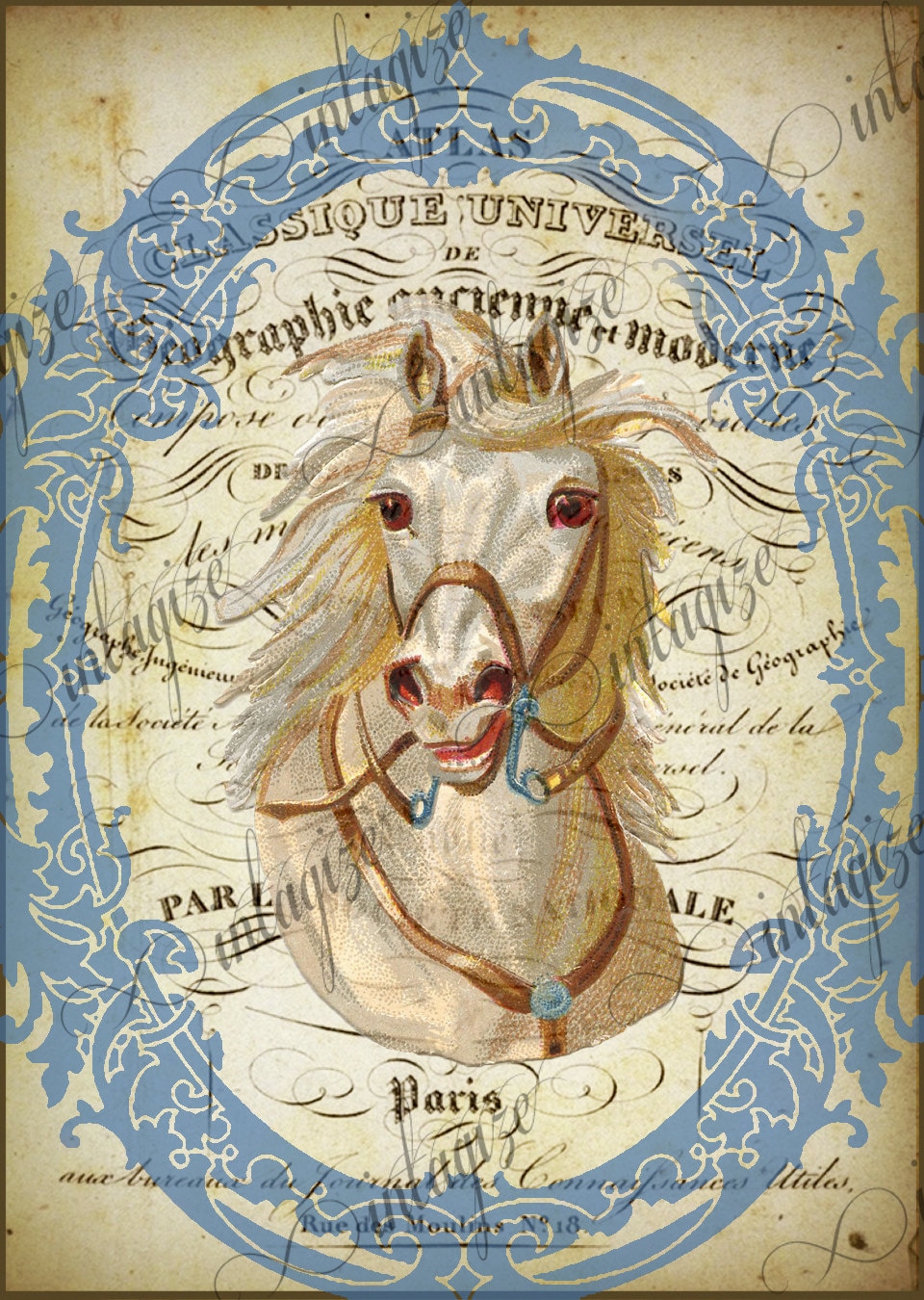 Instant Art Original Print French Circus Elegant White Horse - Ready ...