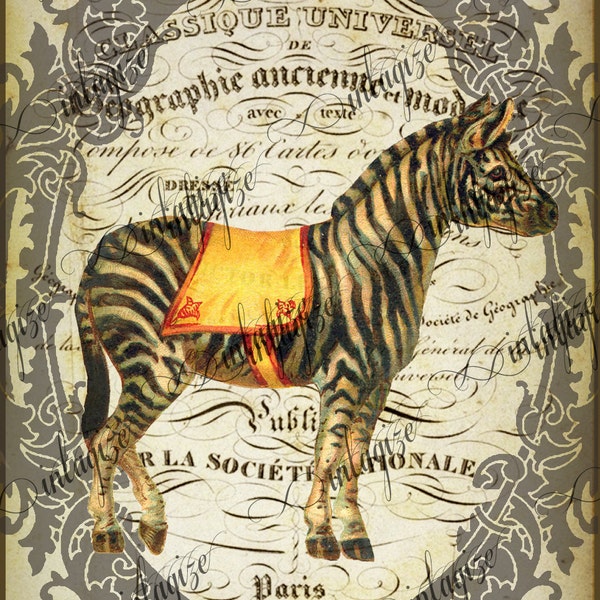 Circus Zebra - Etsy