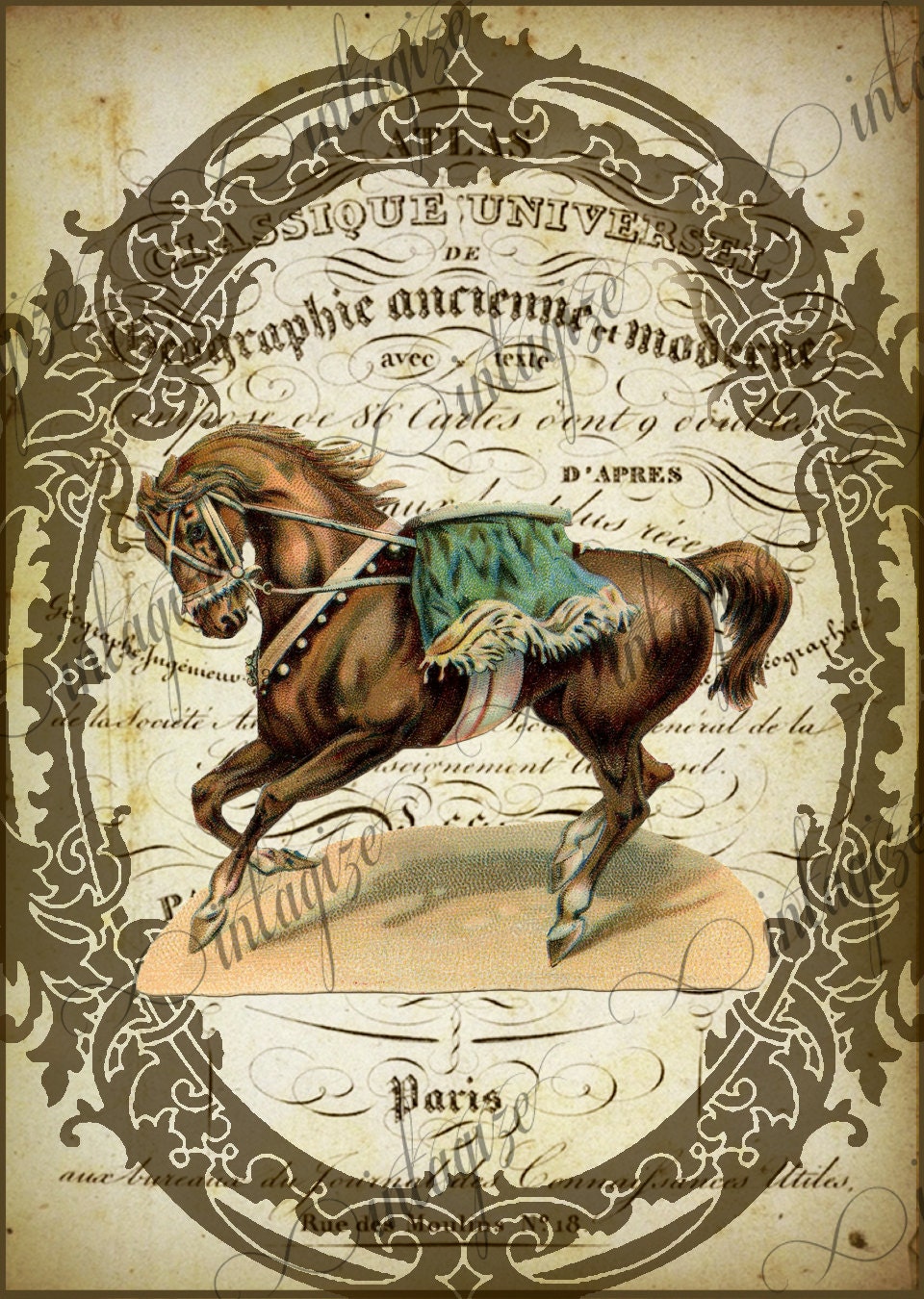 Horse Printable Original Nursery Art Print French Circus Brown Stallion ...