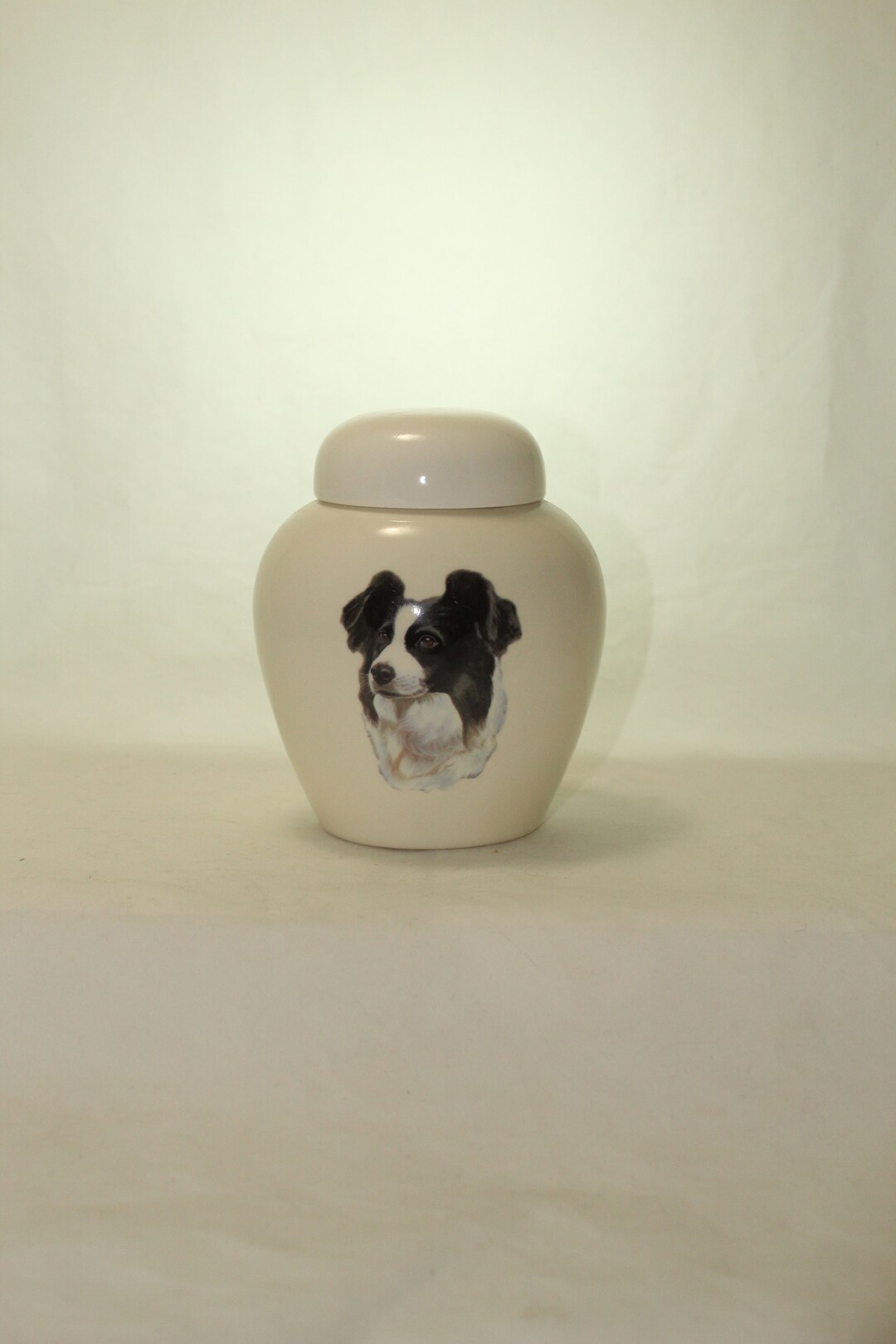 Border Collie Cremation Urn, Ceramic Jar With Lid, Pet or Dog Small Urn ...