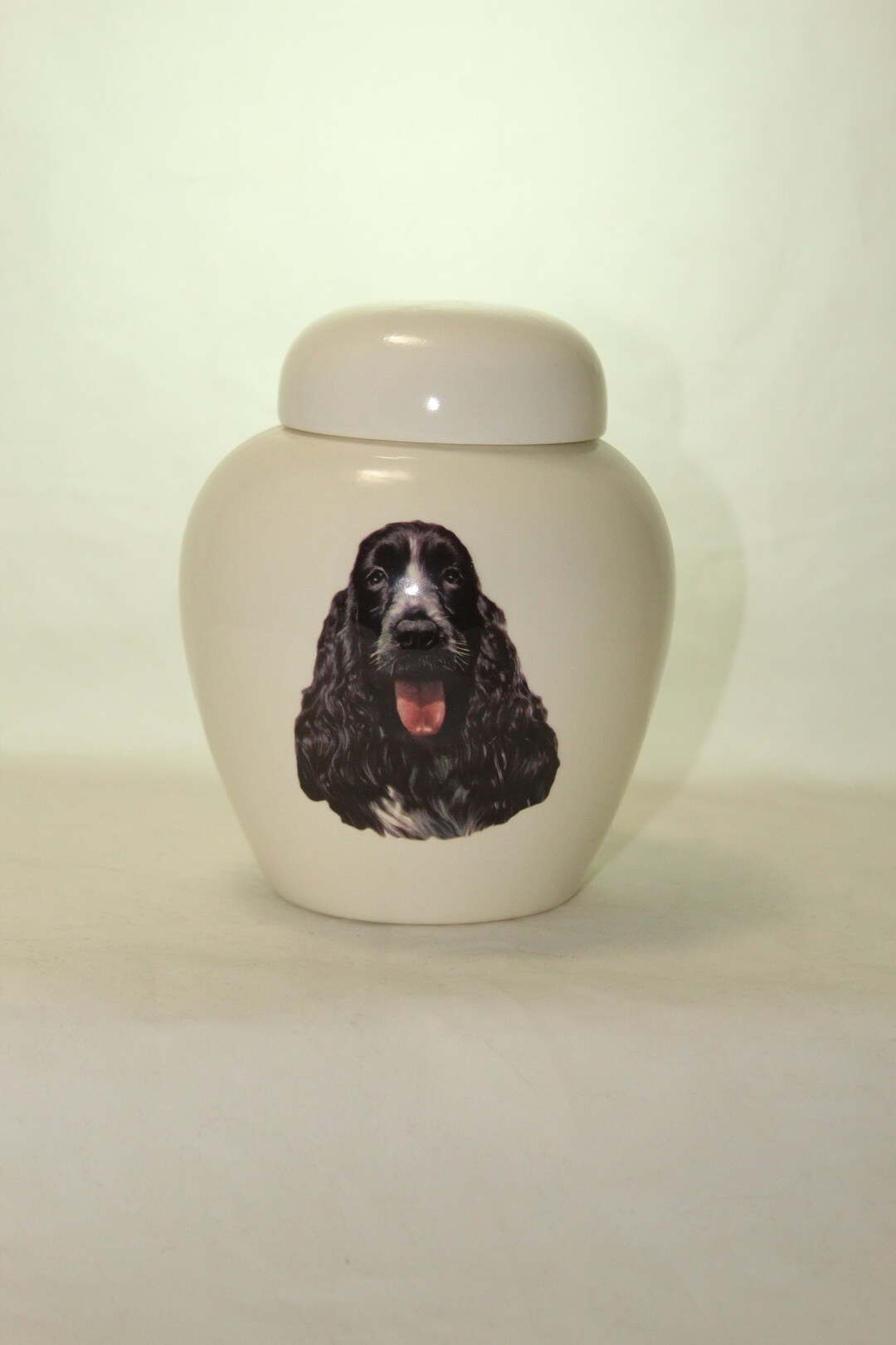 Cocker Spaniel Cremation Urn, Ceramic Jar With Lid, Pet Cat or Dog ...