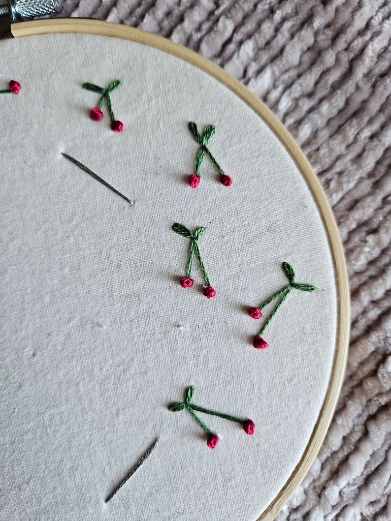 Cherries Jubilee Embroidered Polaroid Frame - Etsy