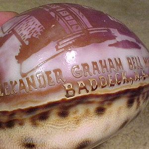 Alexander Graham Bell Museum Hand Carved Cameo SOUVENIR COWRIE SHELL - Etsy