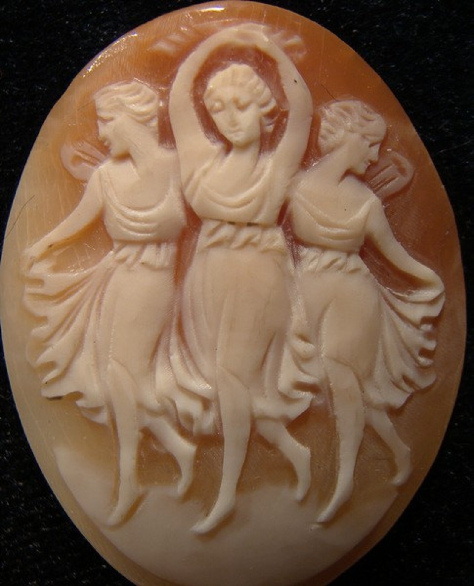 3 Hand Carved SHELL CAMEOS in a Frame - Etsy