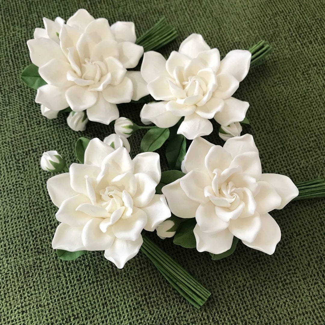 Very Light Ivory Gardenia. Buttonhole Boutonniere for Men. - Etsy