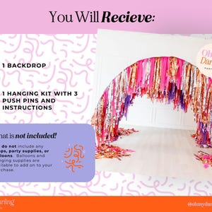 Tunnel Fringe Installation: Overhead Swag Backdrop, Streamer Wall Party ...