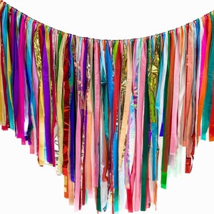 Rainbow Backdrop Lucky Charms Backdrop Party Animal Fringe - Etsy