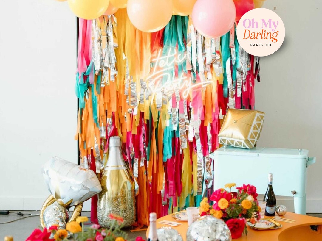 Handmade Plastic Fringe Backdrop: Retro Party Photo Booth Decor, Fringe ...