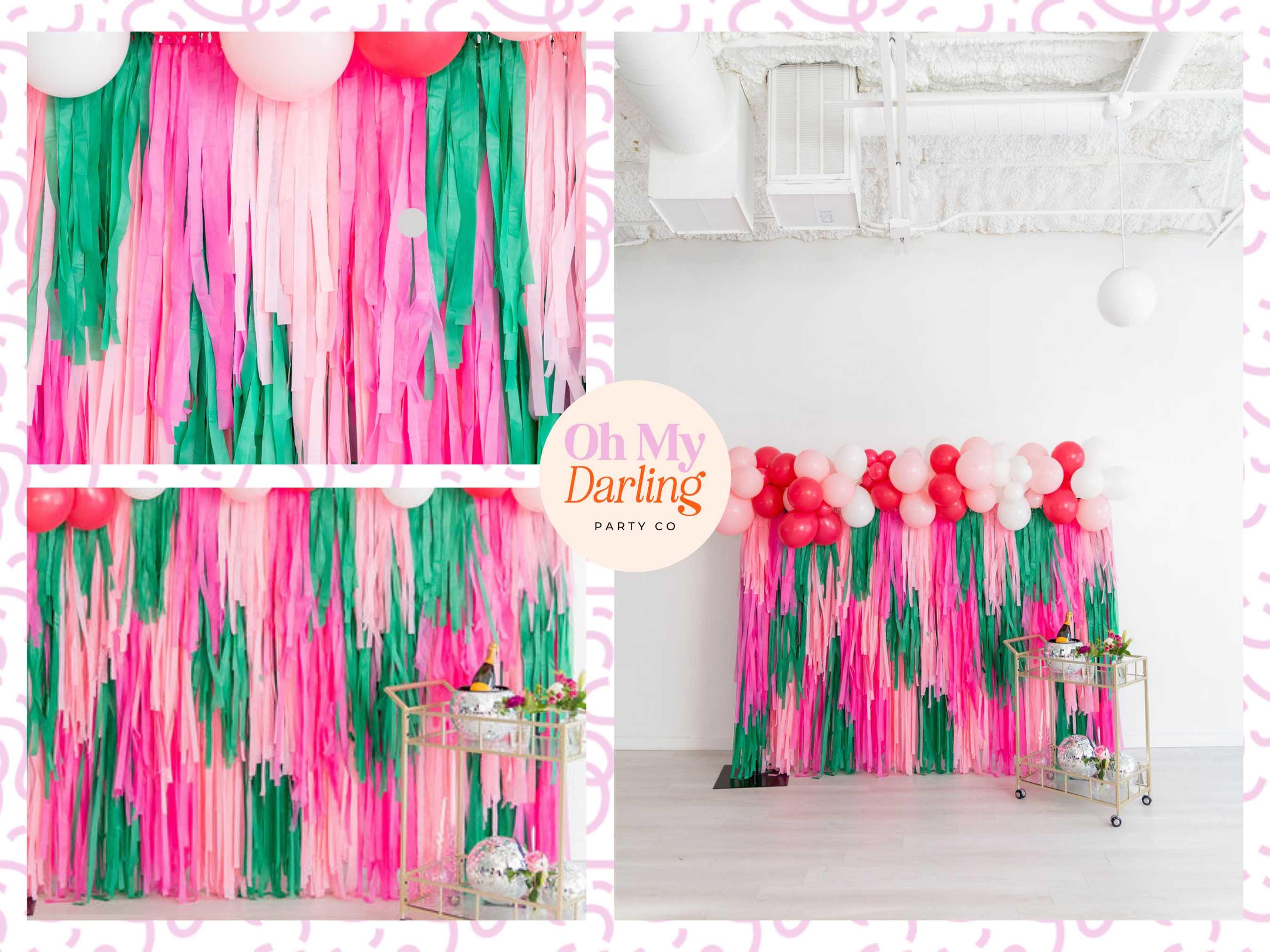 Pink & Green Fringe Backdrop: Pickleball Handmade Party Photo Booth ...