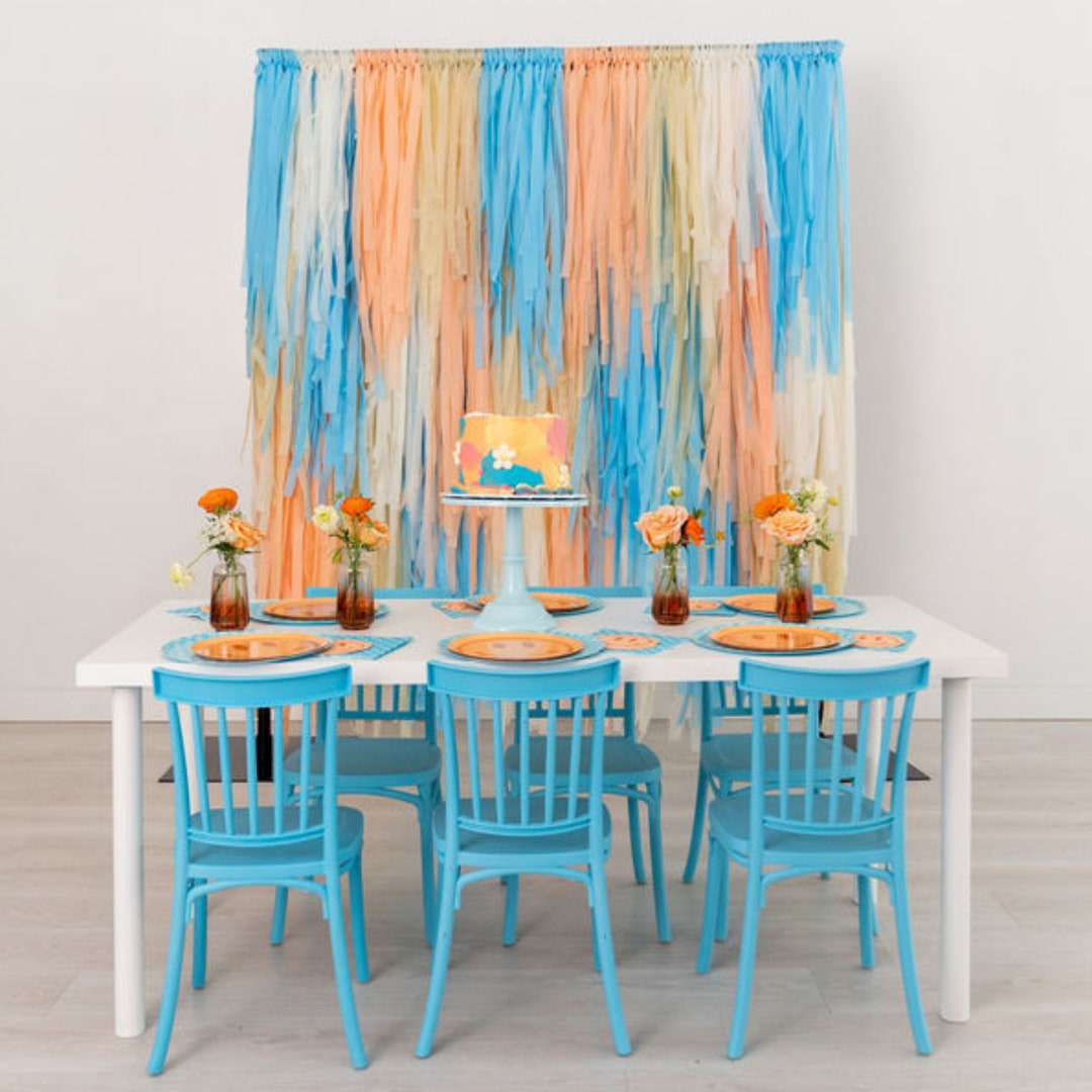 Bluey Fringe Backdrop & Balloon Garland Bluey Party Decor for Girl or ...