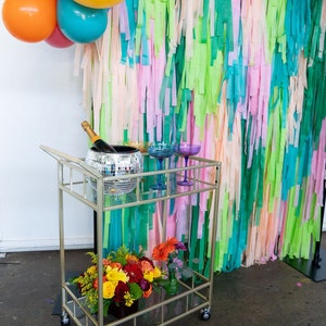 Cactus Fiesta Backdrop Balloon Garland Final Fiesta Balloon Garland Kit ...