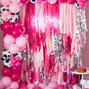 Pink Party Fringe Backdrop Girly Party Girly Bedroom Decor - Etsy