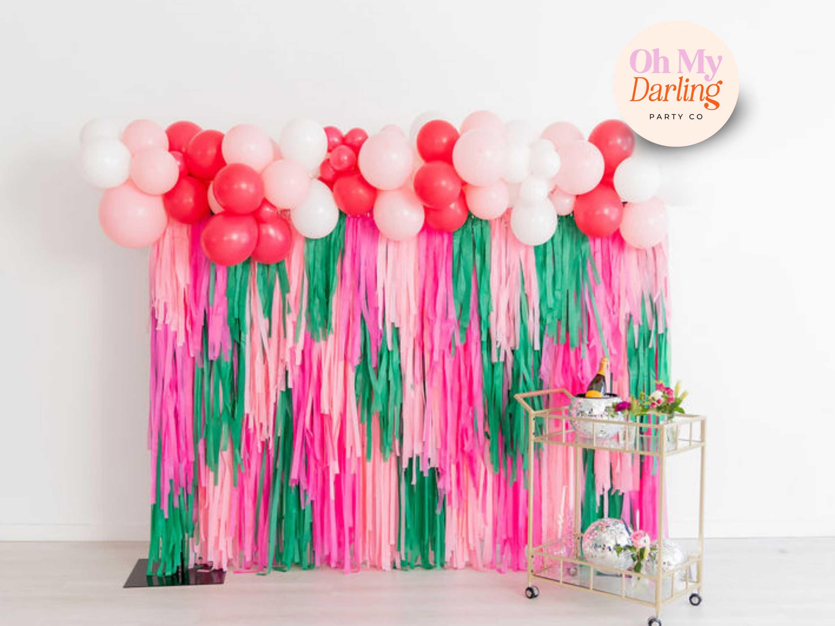 Pink & Green Fringe Backdrop: Pickleball Handmade Party Photo Booth ...