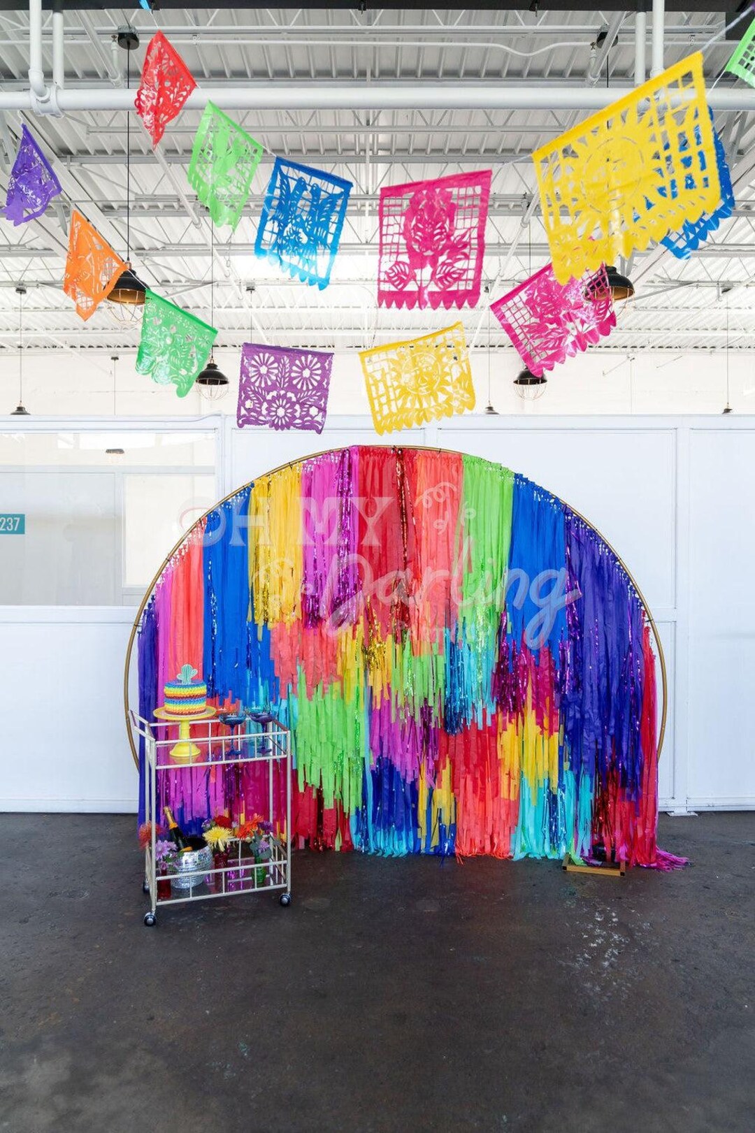 Viva La Fiesta Fringe Backdrop, Custom Fringe Backdrop, Anthro Inspired ...
