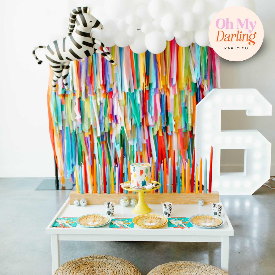 Colorful Plastic Fringe Backdrop: Handmade Party Photo Booth Decor ...