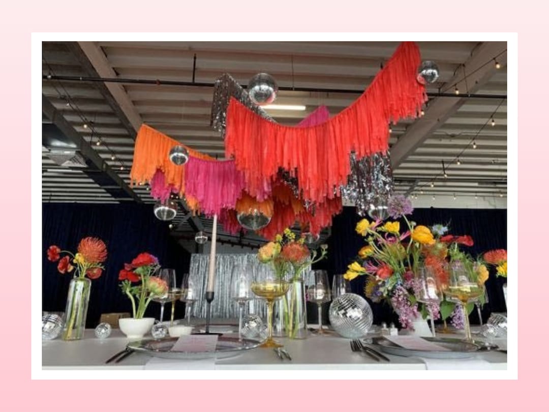 Aerial/ Ceiling Fringe Strands Aerial Birthday Decor for Celebrations ...
