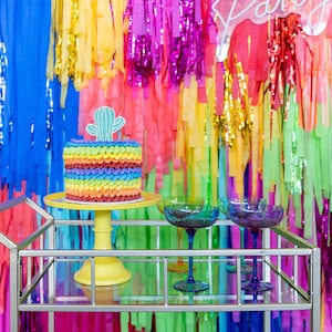 Viva La Fiesta Fringe Backdrop Custom Fringe Backdrop Anthro Inspired ...